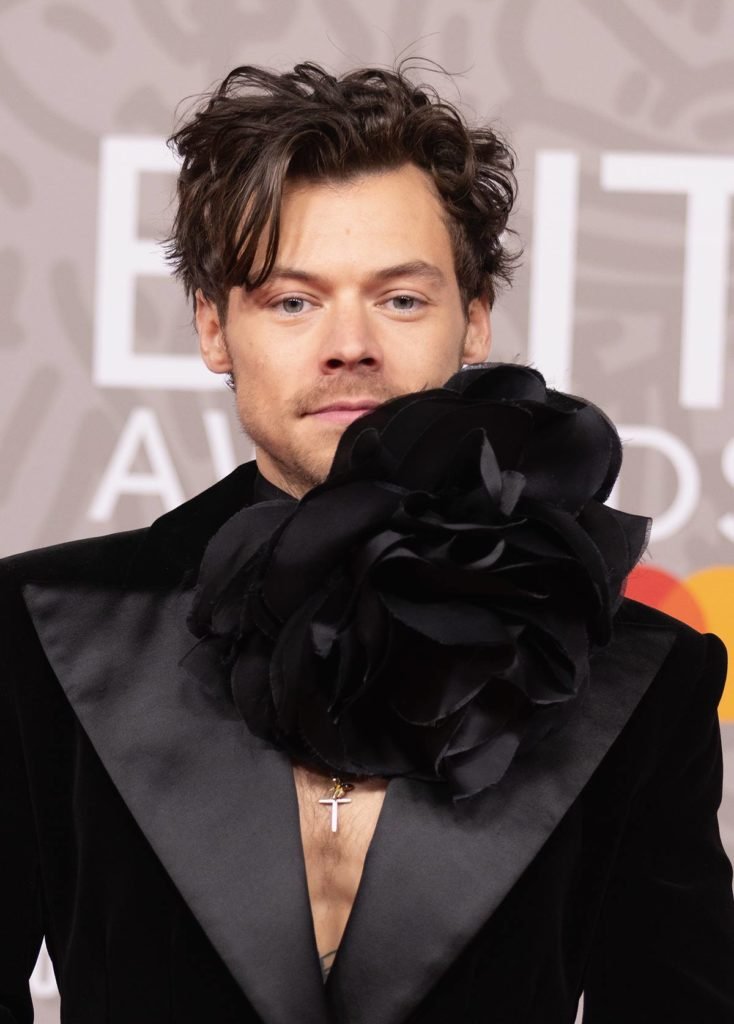 Harry Styles Anuncia Novo Single E Recebe Aviso Da Nasa Entenda