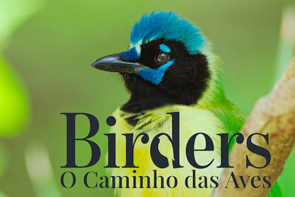 Confira 5 ótimos filmes em curta-metragem para assistir na Netflix ...