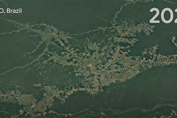 Google Earth mostra avanço do desmatamento na Amazônia até 2022 ...