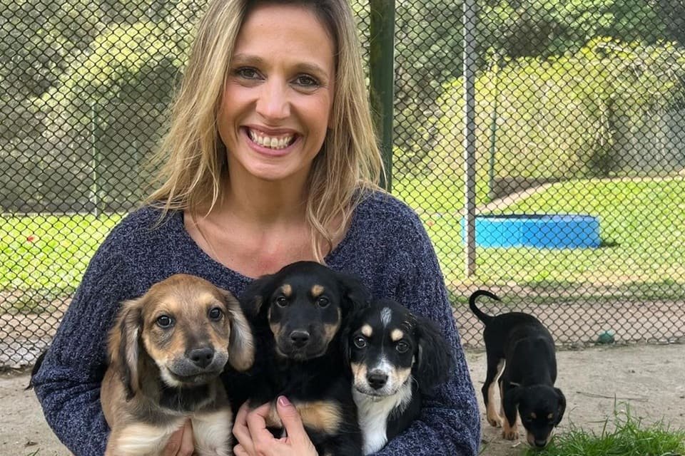 Vídeo: Luisa Mell diz estar sendo vítima de “golpe” em seu instituto | Metrópoles