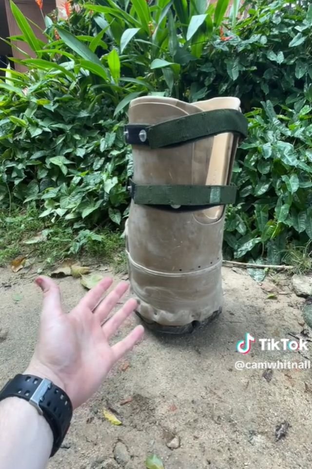 Emocionante! Elefante que perdeu pata em armadilha ganha nova prótese ...