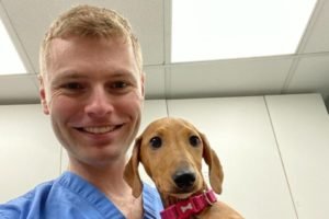 Veterinário revela as cinco raças de cães que nunca escolheria ter ...