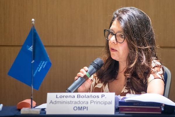 Brasília recebe seminário internacional sobre impactos dos streamings ...