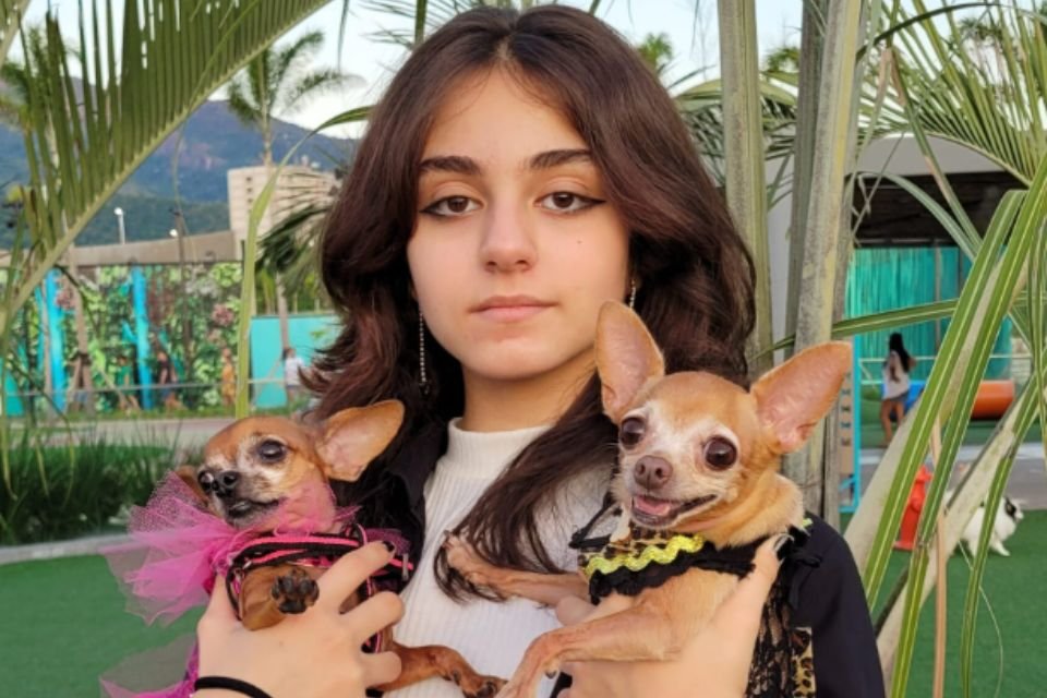 Juju e Pituca: conheça a dupla de pinschers que conquistou a internet ...