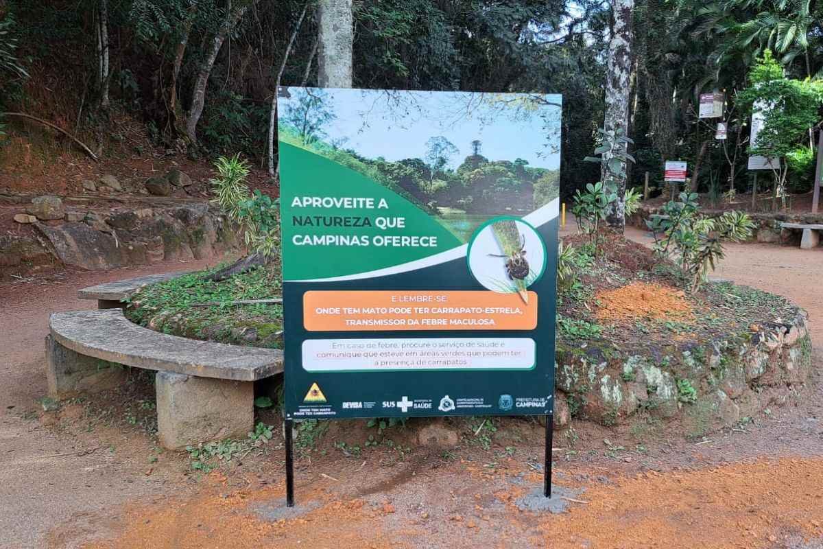 Febre maculosa: “Aproveite a natureza”, diz nova placa de alerta ...