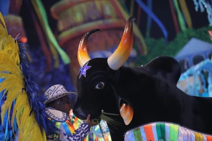 Caprichoso é campeão do 56° Festival Folclórico de Parintins no AM ...