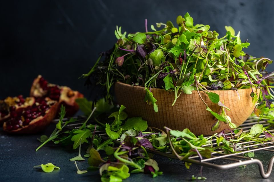 Aprenda a fazer uma salada detox de chá verde que ajuda a emagrecer ...