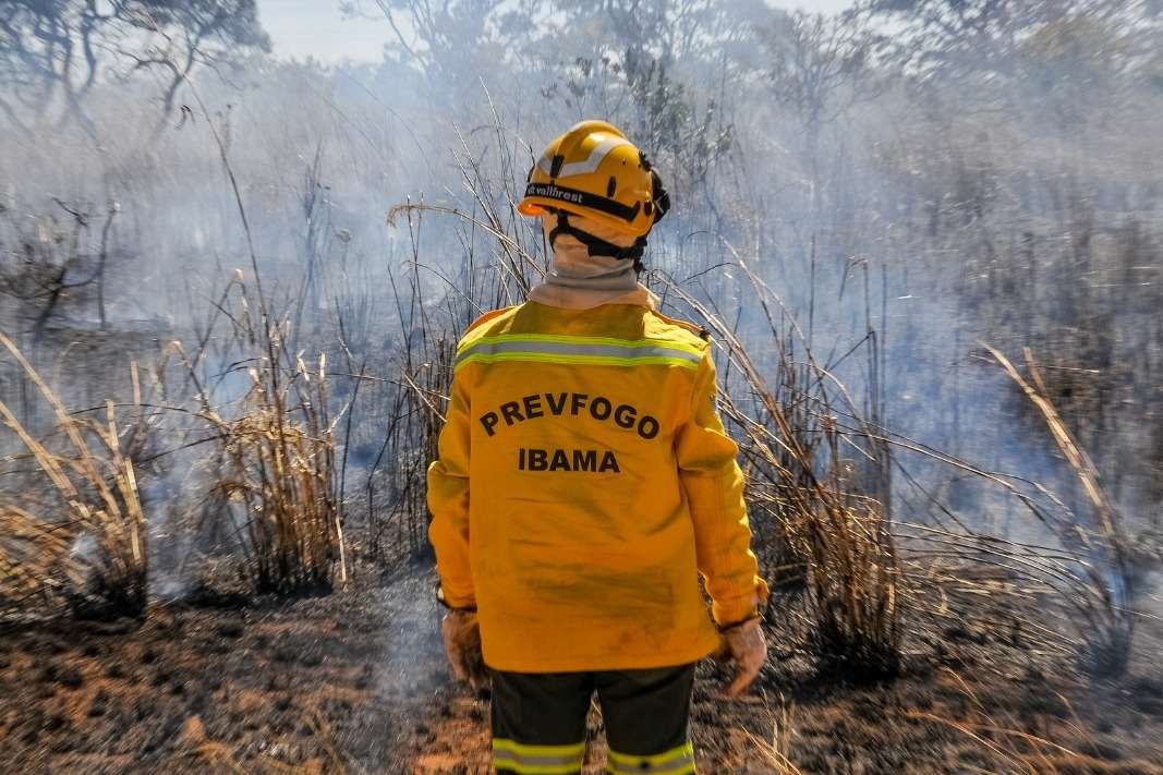 Incêndios florestais já destruíram 2 mil hectares este ano só no DF ...