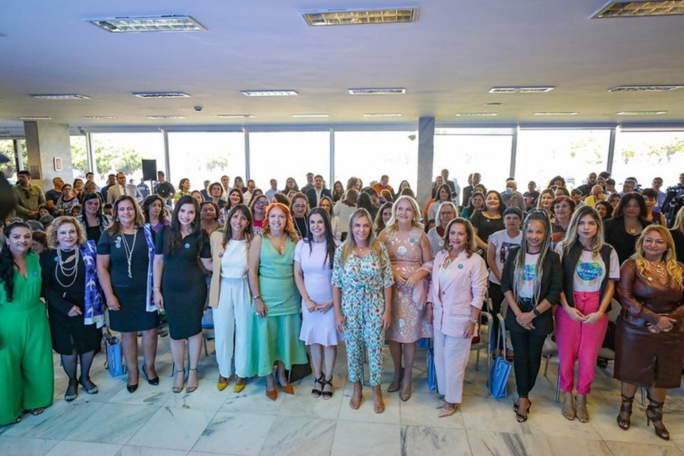 Integrantes do Conselho dos Direitos da Mulher tomam posse no DF ...