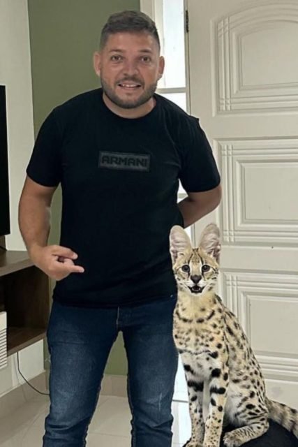 Conheça a raça de gato do rapper Oruam que pode custar até R$ 120 mil ...