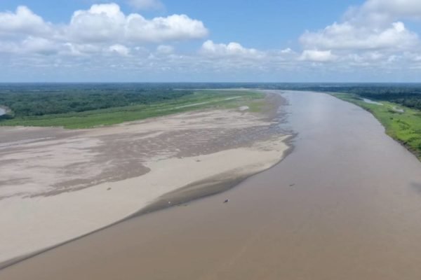 Seca que atinge o Amazonas e o Pará é a mais severa em 40 anos | Metrópoles