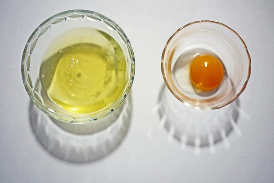Está de dieta? Veja 5 alimentos ricos em proteínas e pouco calóricos ...
