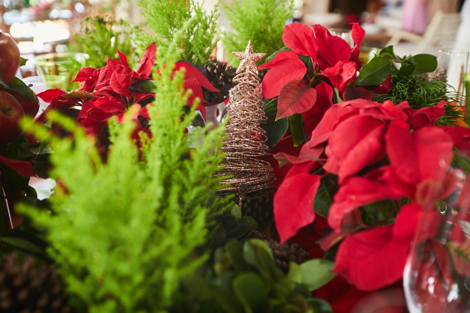 Maria da Graça Miziara recebe convidadas em almoço natalino | Metrópoles