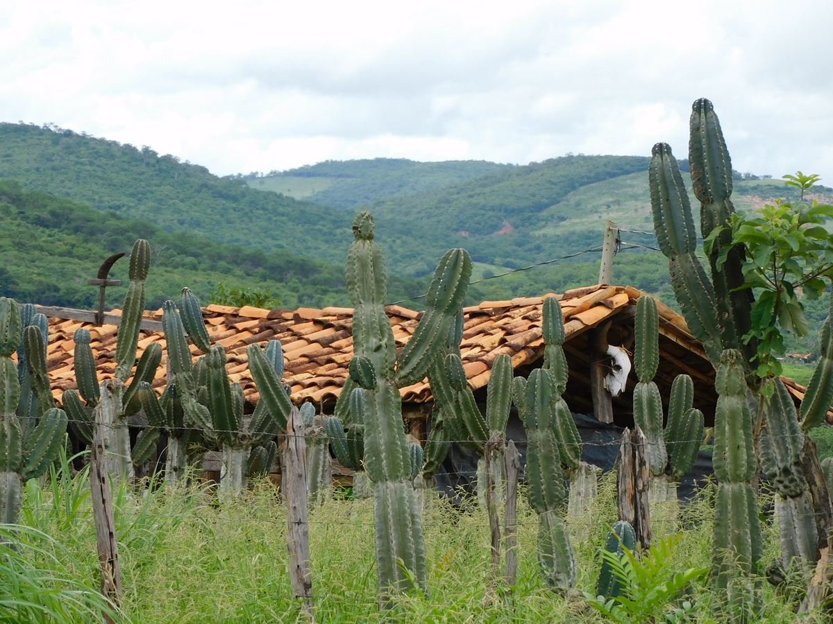 O Vale do Jequitinhonha (MG) é uma potência de natureza imensurável ...
