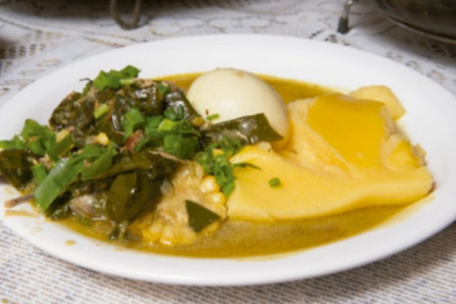 Receita nutritiva: aprenda a fazer prato tradicional com ora-pro-nóbis ...