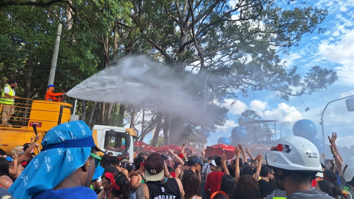 Carnaval: Alok leva milhares ao Ibirapuera em show de trio elétrico ...